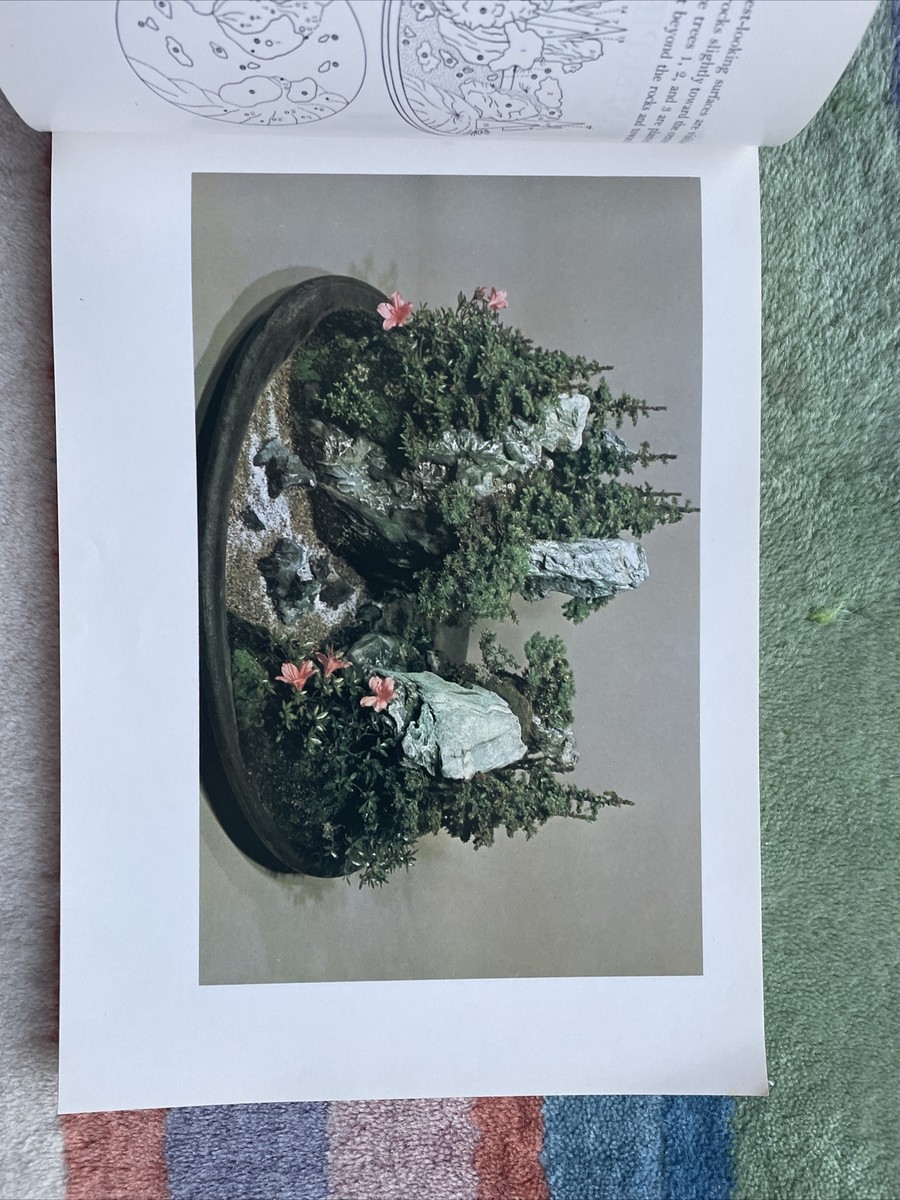 Saikei Living Landscapes In Miniature Saikei And Art : Miniature