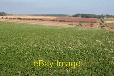 Photo 6x4 Clover Field at Barras Catterline The green of this clover ...