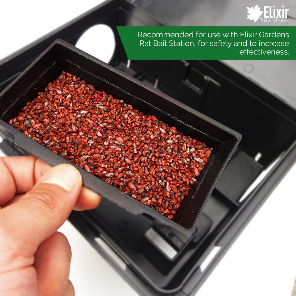 Rodex25 Rat & Mouse Poison Grain | Vermin Killer Strong Wheat Bait ...