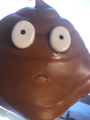 Hog Wild Sticky The Poo Squishy Moldable Toy for sale online | eBay