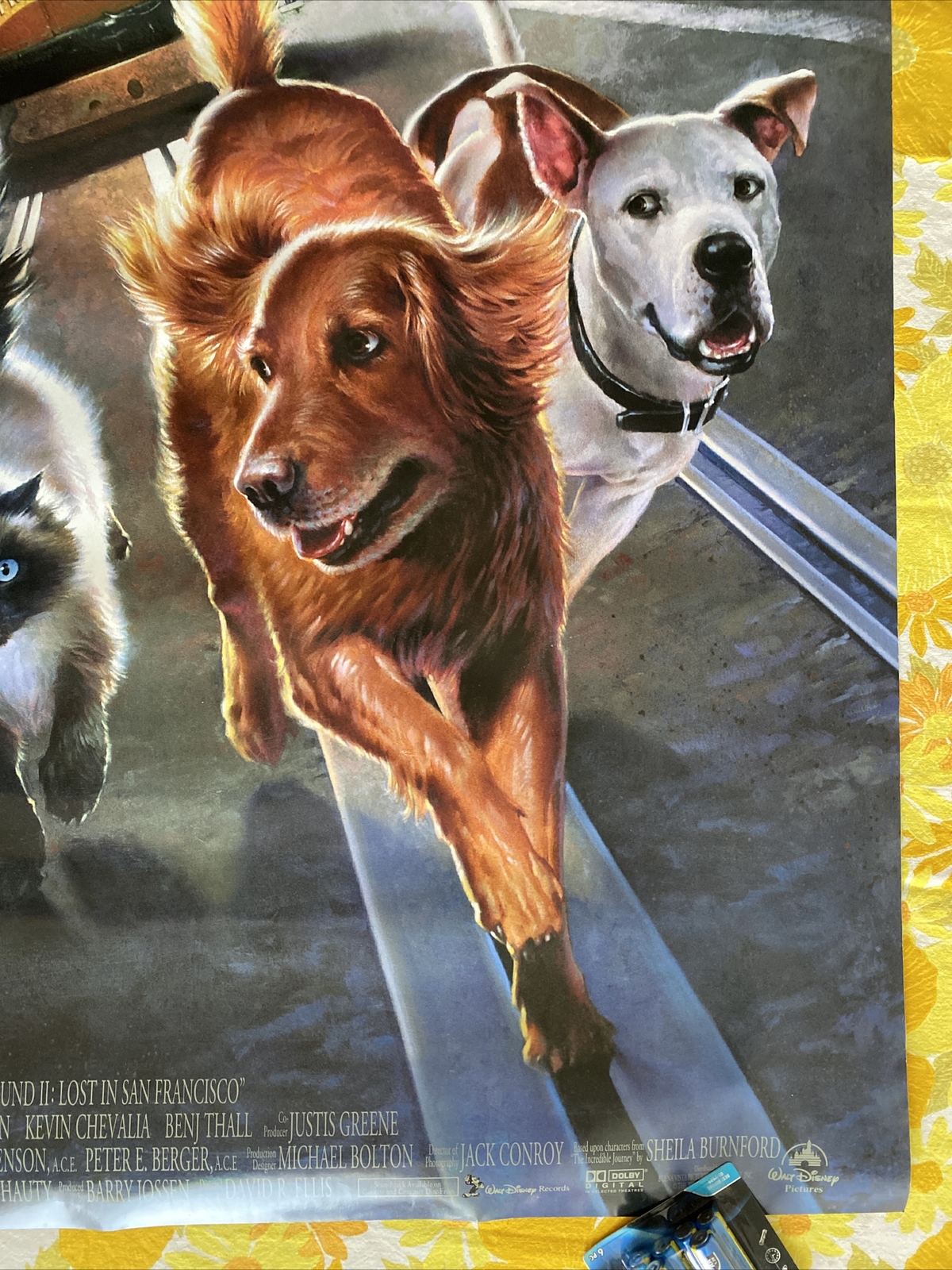 Homeward Bound 2 Lost In San Francisco Movie Poster WALT DISNEY Bay ...