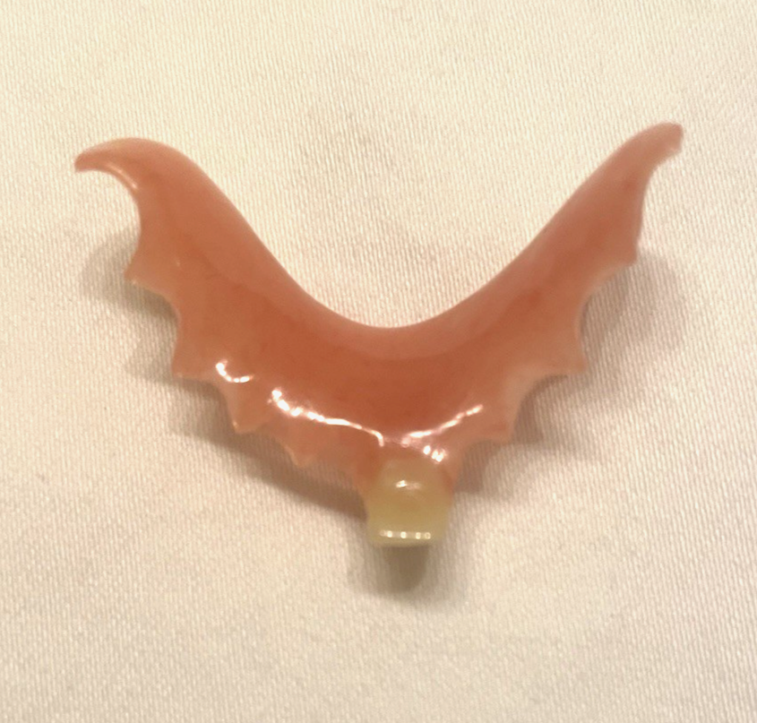 Denture Flapper False Tooth Bottom Front Tooth Partial | eBay