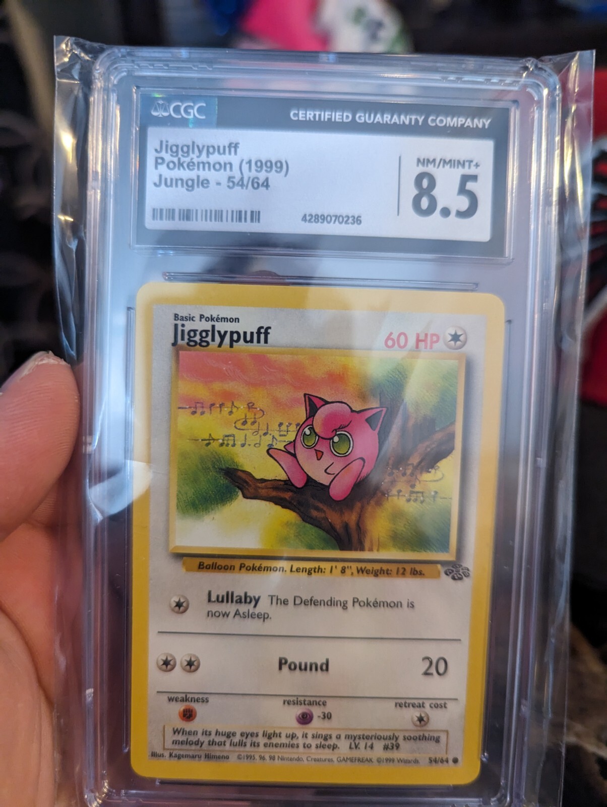 Pok%C3%A9mon+TCG+Jigglypuff+Jungle+54%2F64+Regular+1st+Edition+Common ...