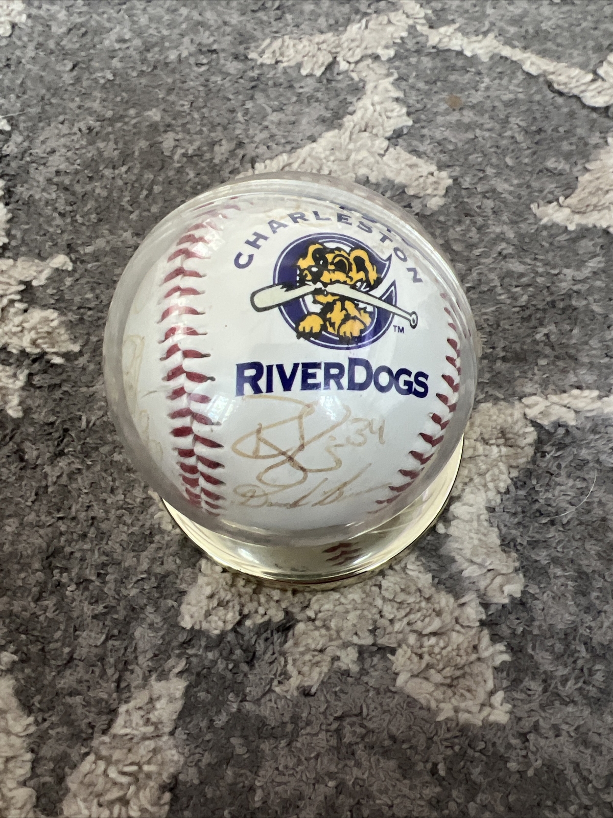 Charleston Riverdogs Autographed Signed Baseball | eBay