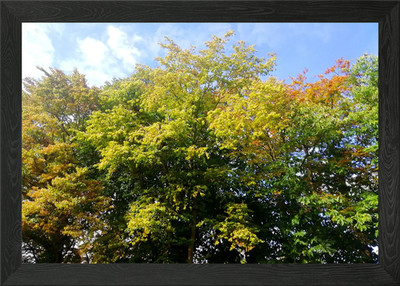 Essex In August Framed Wall Art Poster Canvas Print Picture | eBay UK