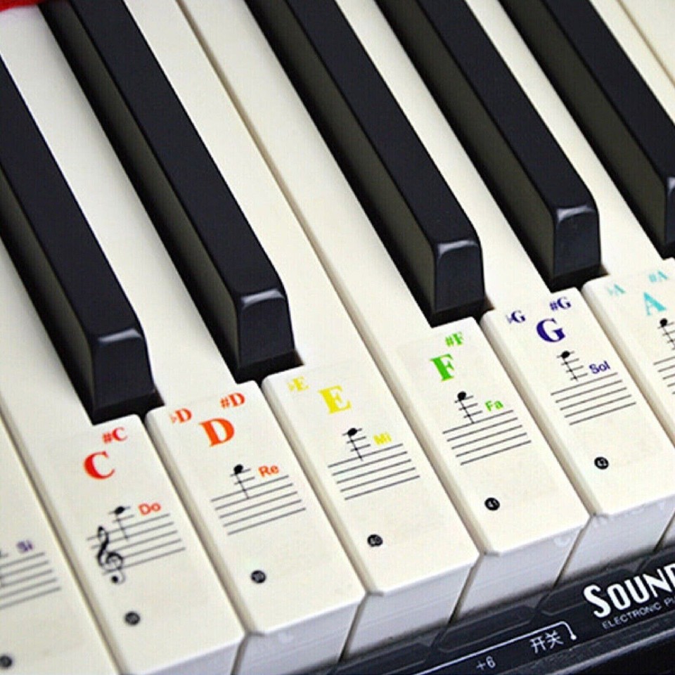 Universal Plastic Piano Music Keyboard Sticker 37/49/61/88 Key Note ...
