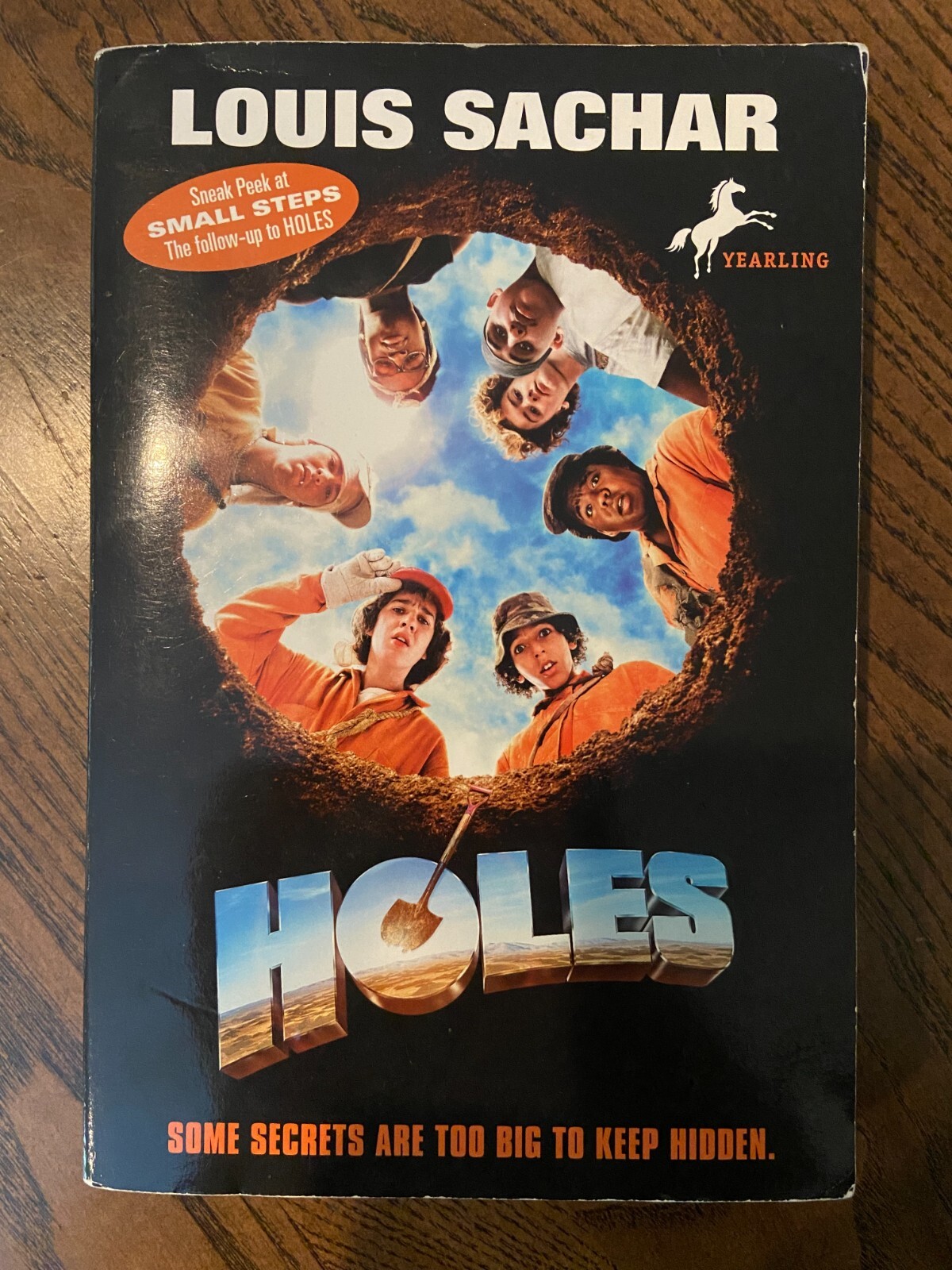 Holes Louis Sachar Paperback good condition yearling randomhouse movie ...