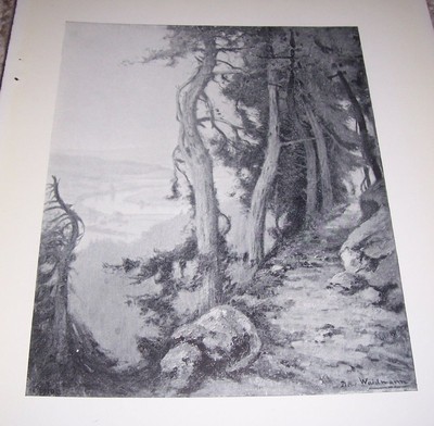 1911 FORET VOSGIENNE Pierre Waidmann PRINCESS CAROLYNE F Kruger Print ...