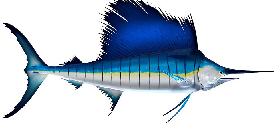 Sail Fish Vinyl Sticker Fish Decals for Boat Car Vehicle Truck Fishing ...