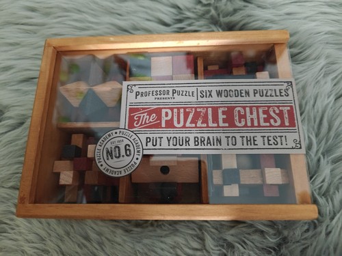 The Puzzle Chest No. 6 Six Wooden Puzzles from Professor Puzzle Academy ...