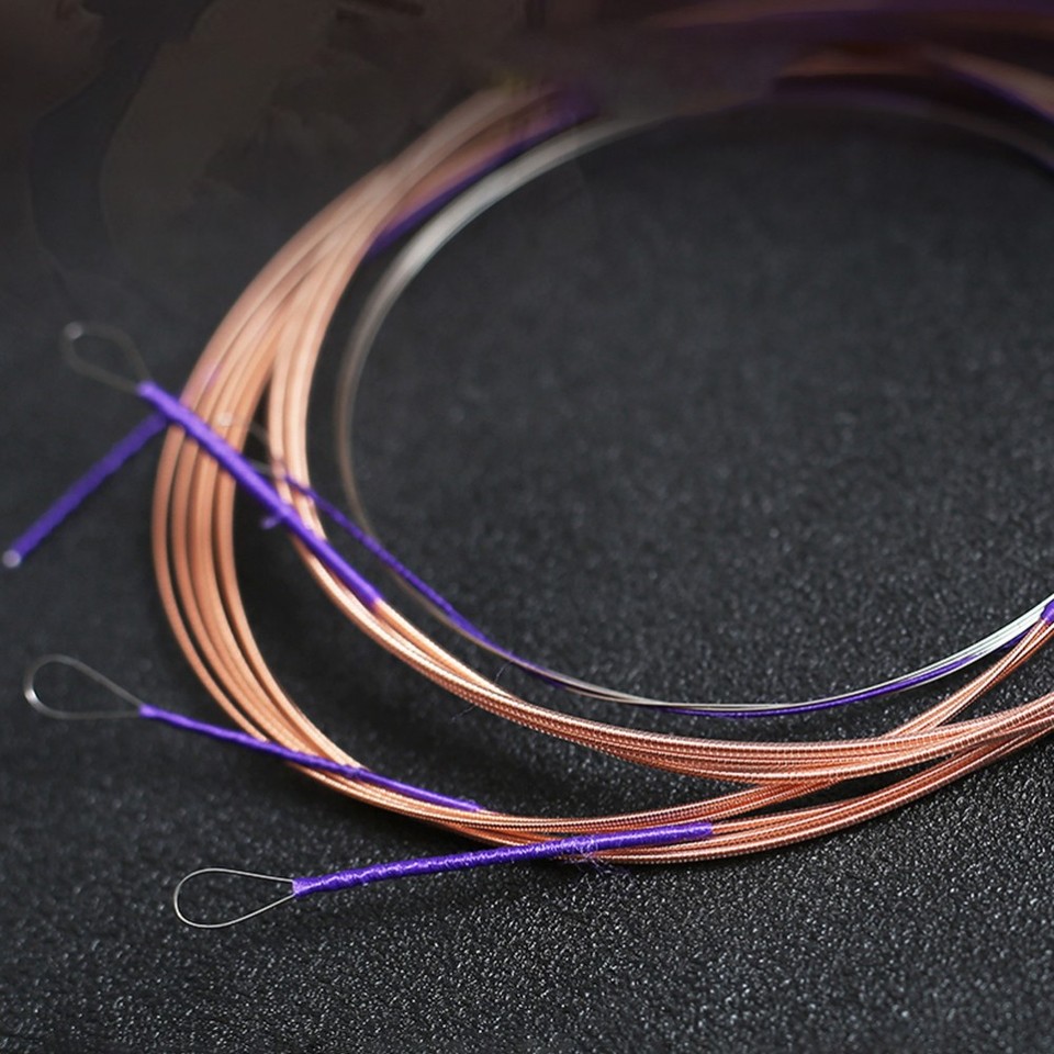 4Pcs Chinese Pipa Strings Chinese Lute Replacement Strings Musical ...