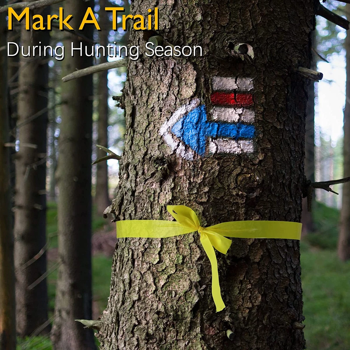 Plastic Trail Markers