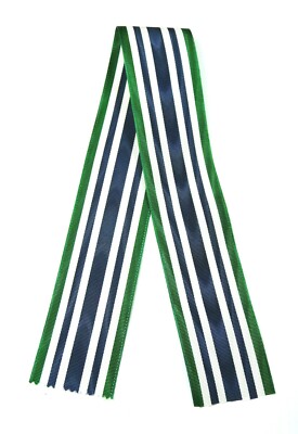 Agency Dept, Border Patrol Special Commendation Medal ribbon, 12 inches ...