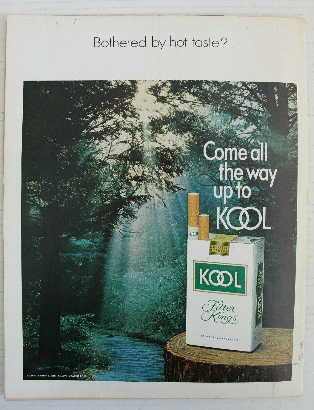 Life Magazine December 11, 1970 "Model Gunilla Knutson Owns a Health ...