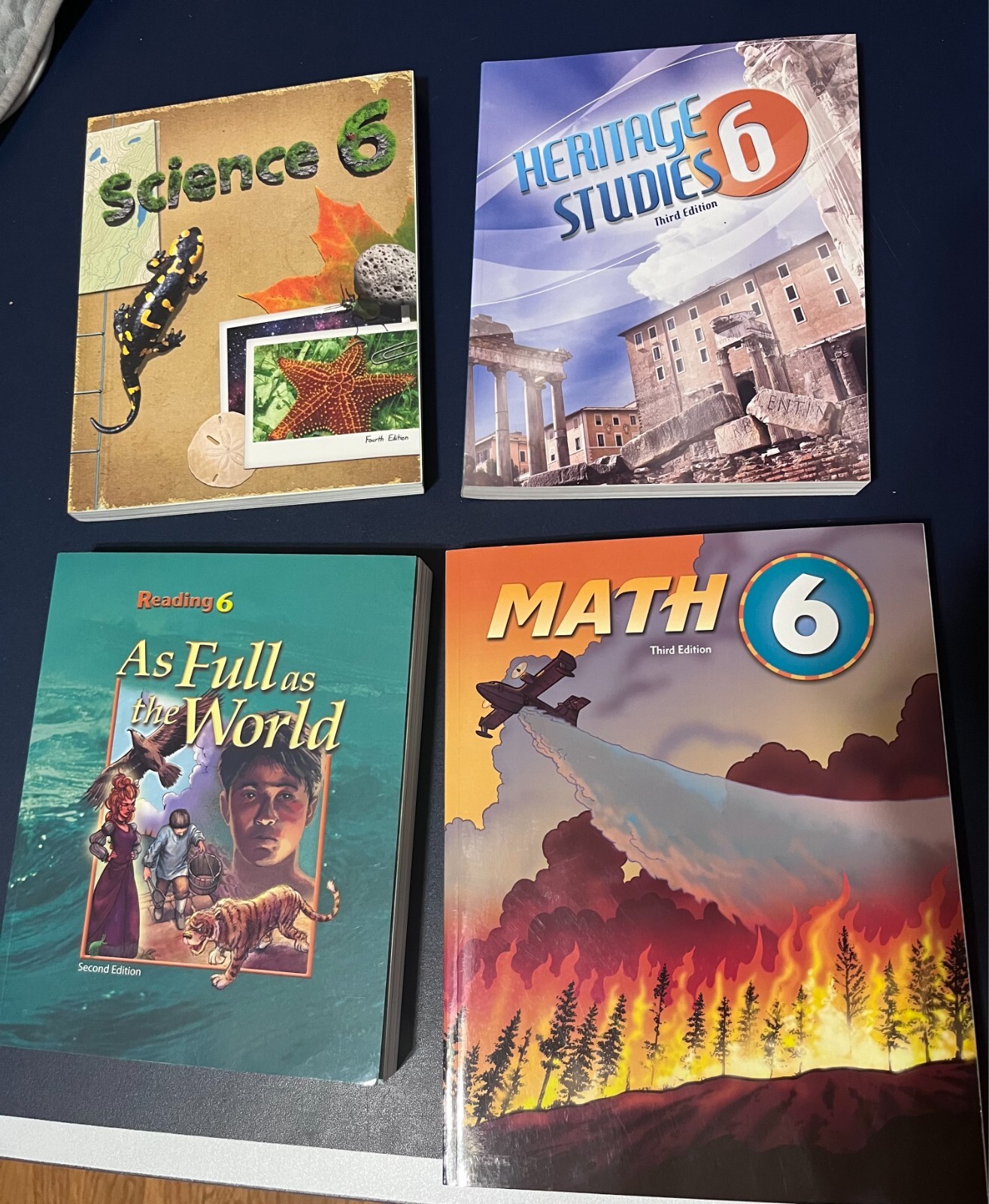 BJU Press Grade 6 Reading (2nd) Heritage Studies 6 (3rd) Science 6 (4th ...