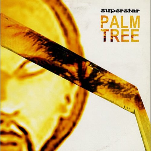 Super Star Palm Tree Double LP Vinyl PNFG14Y NEW | eBay