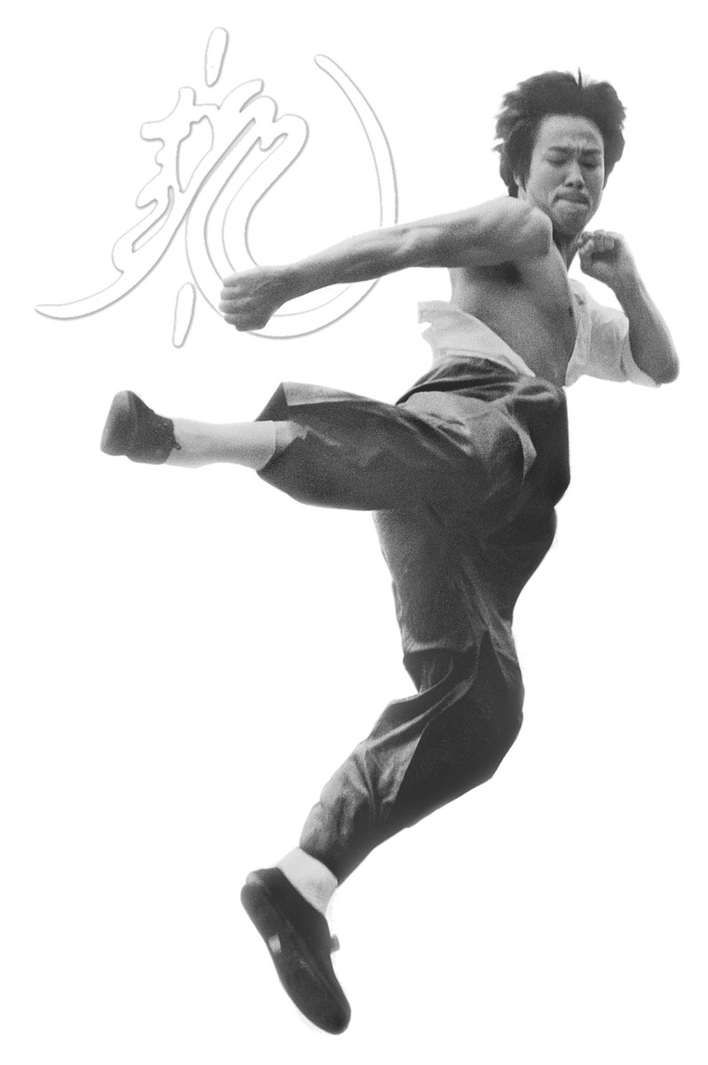 Bruce Lee Flying Kick Drawing
