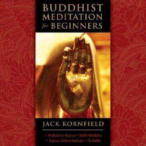 Buddhist Meditation for Beginners by Jack Kornfield (2006, Compact Disc ...
