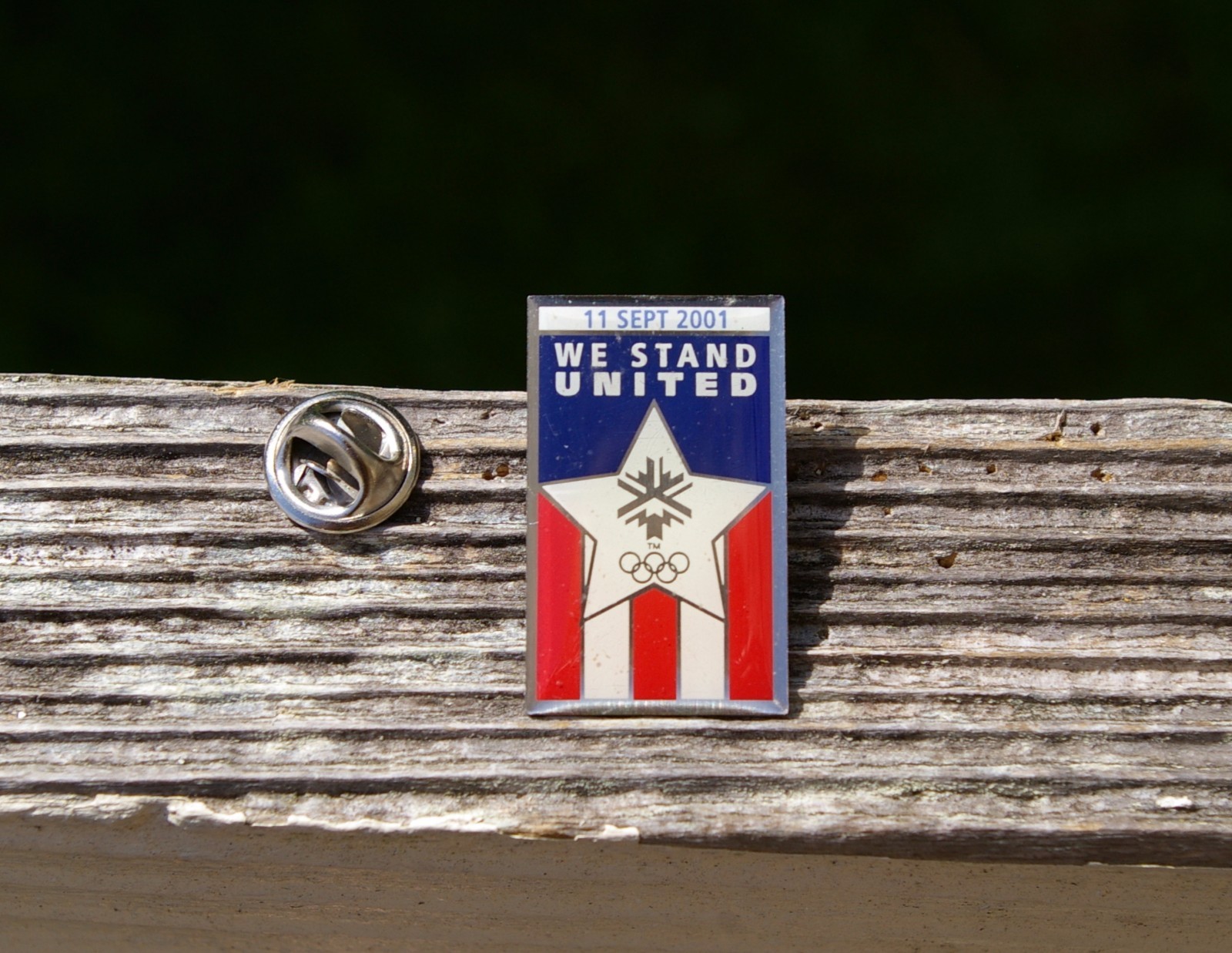 Winter Olympics American Flag We Stand United Sept 11 Metal Enamel Pin ...
