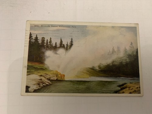 1924 Riverside Geyser Yellowstone National Park Wyoming Postcard | eBay