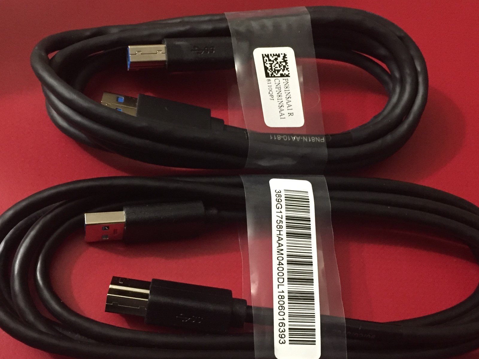 Dell 6' SS-USB Cable Type A to B PN81N / 389G1758HAAM0400DL | eBay