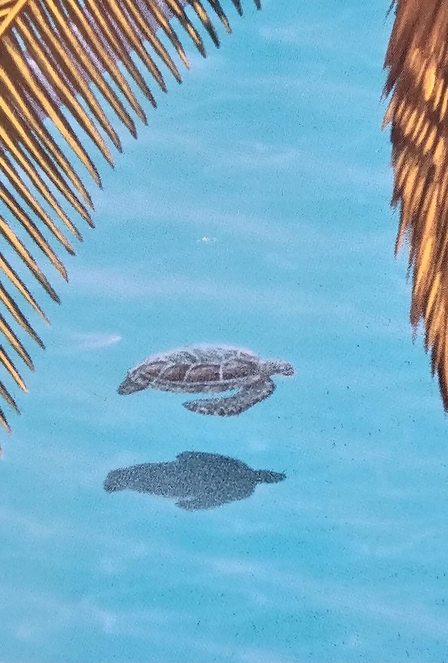 Dan Mackin First Swimmer Sea Turtle Art Hand Signed Lithograph 236/275 ...