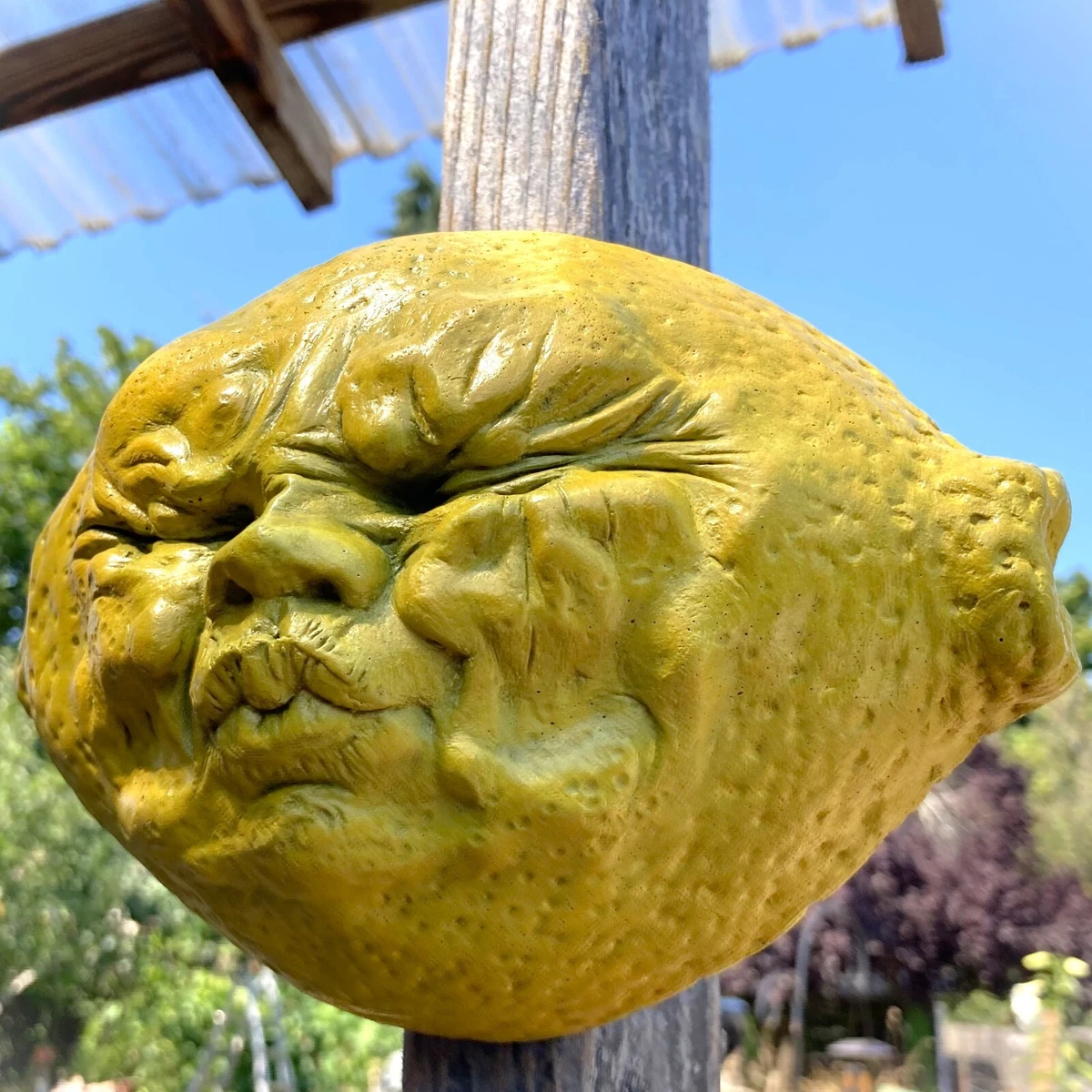 Sour Lemon Face