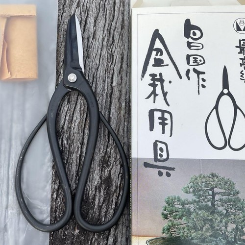 Masakuni Bonsai Tool No.001 Black Polished Pruning Shears New from ...