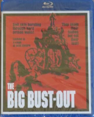 THE BIG BUST OUT BLURAY SCREAM FACTORY OOP NEW | eBay