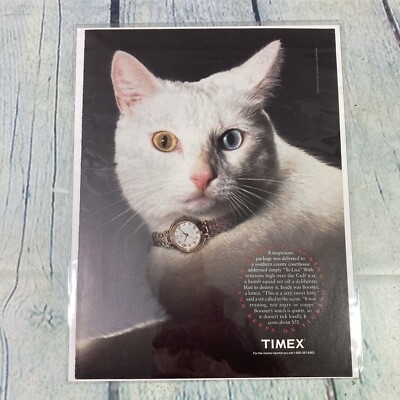 1992 Timex Watch Kitty Cat Vintage Print Ad/Poster Promo Art Magazine ...