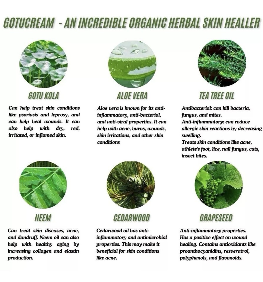 Gotucream 2oz Jar ~ Organic Healing Cream ~ New Made in Scotland. Gotu ...