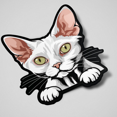 Devon Rex White Cat Peeker Windshield Windscreen Laptop Sticker Decal ...