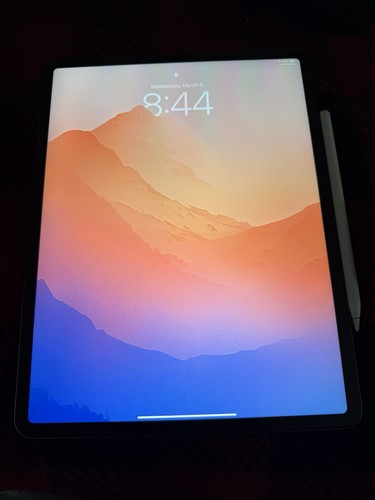 Apple iPad Pro 12.9-inch (4th generation) A2229 128 GB w/extras ...