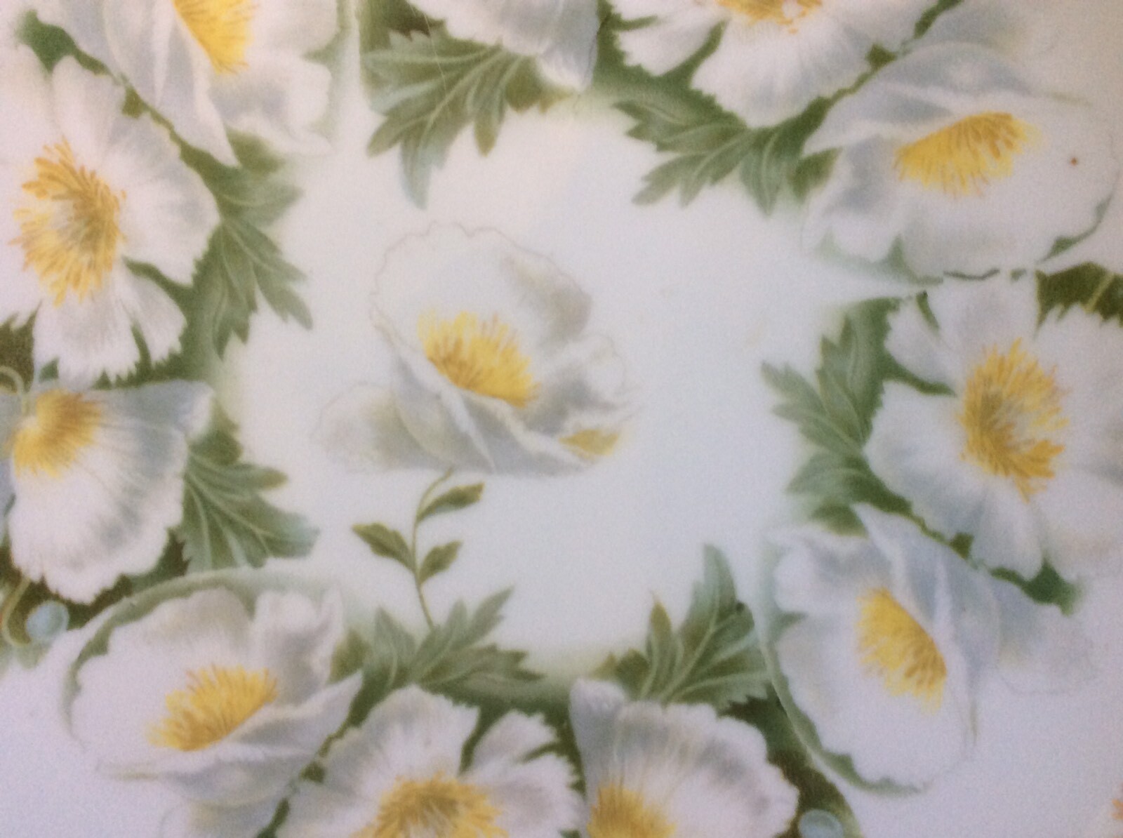 RC Rosenthal Bavaria Crysantheme Plate 8" Round White Poppies Flowers ...