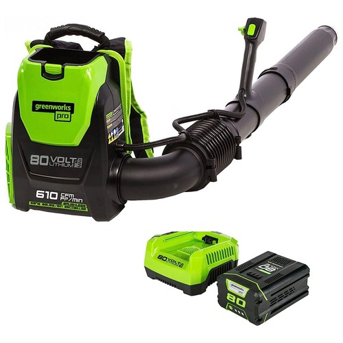 Greenworks Backpack Blower with 80 Volt 2.5Ah Battery & Charger, Green ...
