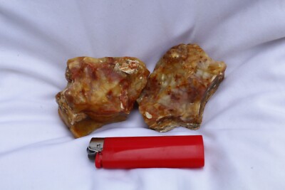 Rough Opalized Diatomite Oregon Yadenite Rock Specimen #6 | eBay