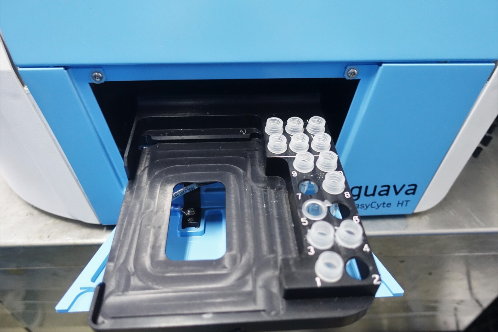 MILLIPORE GUAVA EASYCYTE 6HT 2L FLOW CYTOMETER w PC | eBay