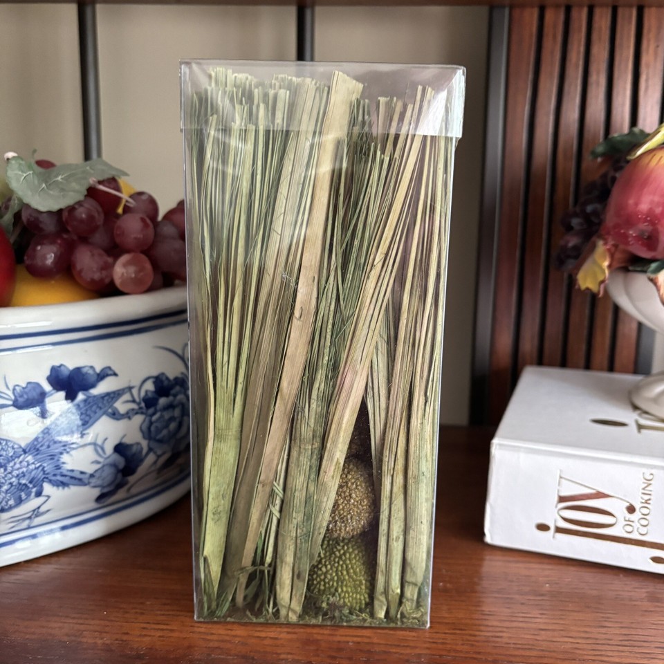 Pottery Barn Fresh Cut Potpourri Moss Balls Plantains Grass Sage Lime ...