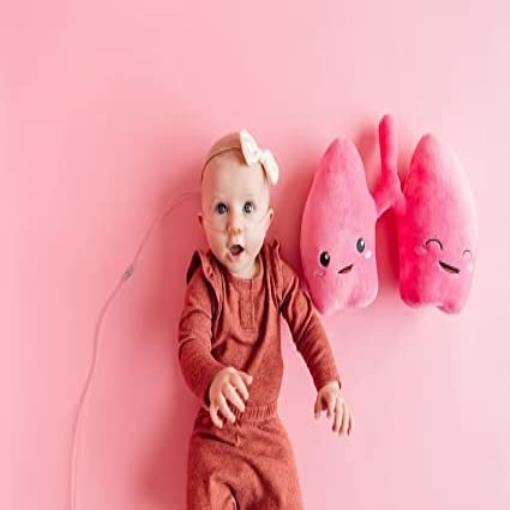 Cute Smiley Lung Plush Pulmonologist Respiratory Therapist Gift Soft ...