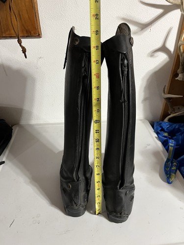 Donatello Tredstep The Renaissance Collection English Riding Field ...