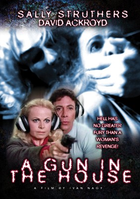 A Gun in the House (DVD) David Ackroyd Joel Bailey Matthew Faison (US ...