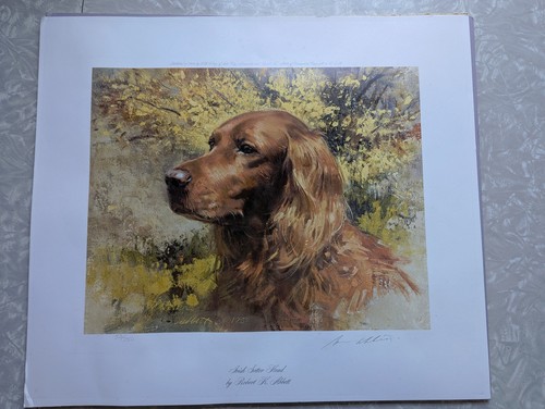 IRISH SETTER ROBERT K ABBOTT - SIGNED LIMITED EDITION ART PRINT 52/750 ...