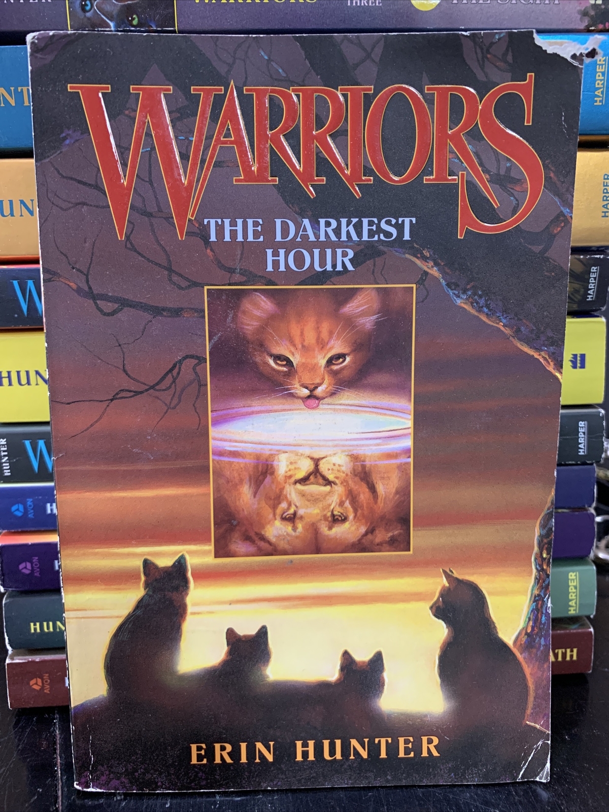 Lot of 16 Different Erin Hunters Warrior Book Collection ALL PAPERBACKS ...