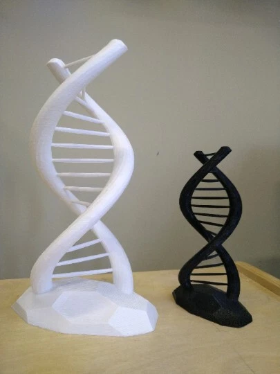 Double Helix 3d Model