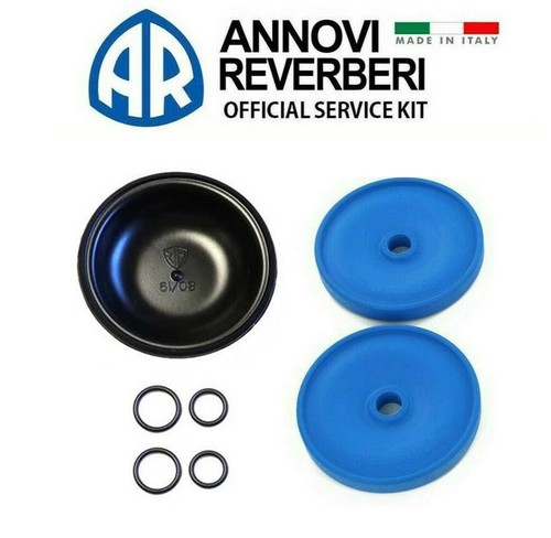 Hypro 9910-KIT1723 D252 D19 Pump Diaphragm Kit - Made in Italy - Free ...
