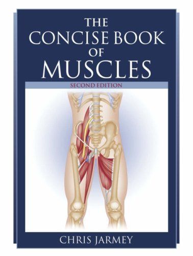 The Concise Book of Muscles by Chris Jarmey (Paperback, 2008) for sale ...
