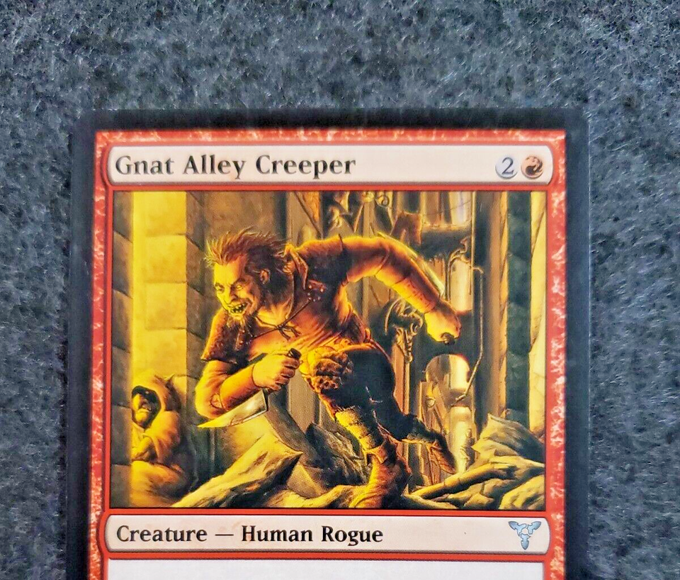 MTG GNAT ALLEY CREEPER Dissension MTG Magic the Gathering NM Card ...