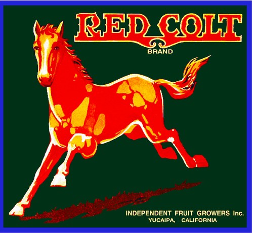 Yucaipa San Bernardino Red Colt Horse Orange Citrus Fruit Crate Label ...