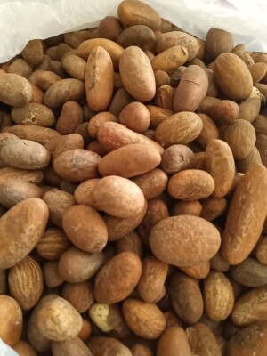 Bitter Kola nuts. (New stock)OROGBO 15 mix size,(Reduced Price)£4.50+£1 ...