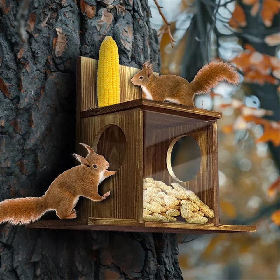 Garden Squirrel Feeder Food Storage Box Hanging Station with Lift-Up ...